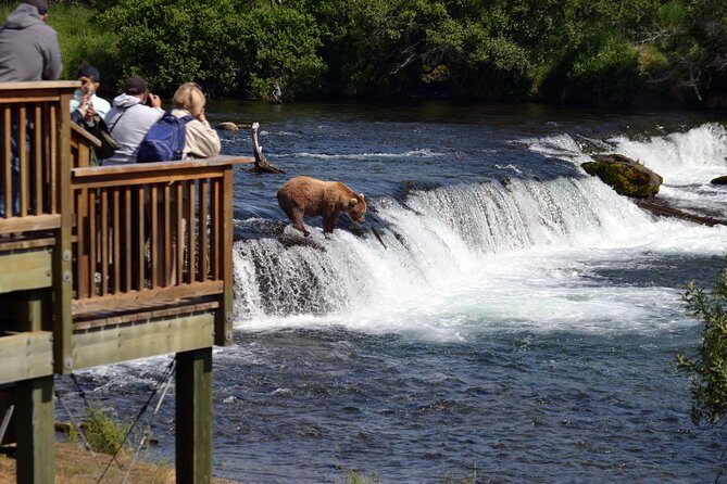 Brooks Falls Katmai Bear Viewing in a Float Plane - Authentic Insights from Reviews