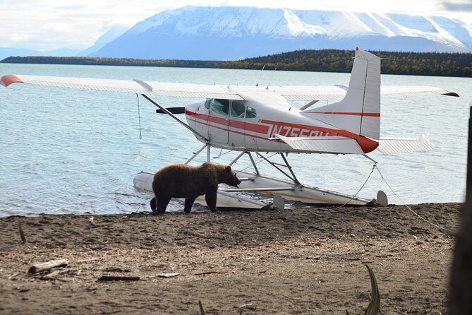Brooks Falls Katmai Bear Viewing in a Float Plane - FAQs