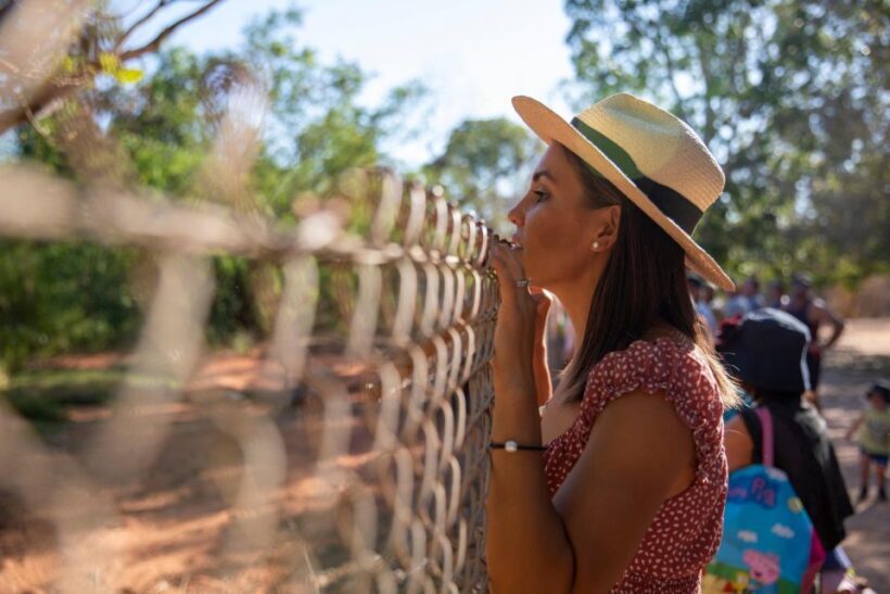 Broome: Malcolm Douglas Crocodile Park Tour with Transfers - An In-Depth Look at the Malcolm Douglas Crocodile Park Tour