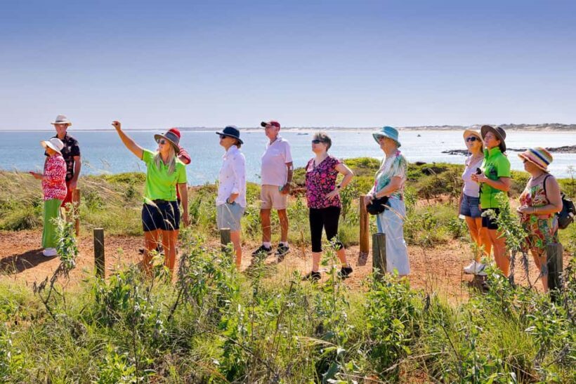 Broome: Panoramic and Discovery - Morning Tour w/ Transfers - An in-depth look at the Broome Panoramic and Discovery Tour