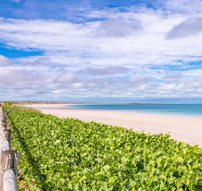 Broome: Panoramic and Discovery - Morning Tour w/ Transfers - Who should consider this tour?