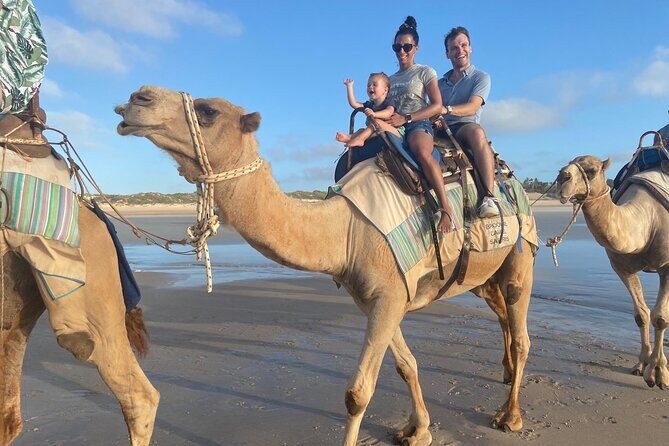 Broome Pre-sunset Camel Tour 30 minutes - The Experience in Detail