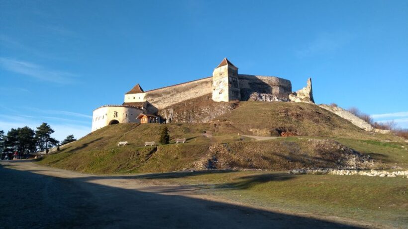 Brown Bear Sanctuary, Bran Castle & Rasnov Fortress Day Tour - An Authentic Day Exploring Romanias Iconic Landmarks