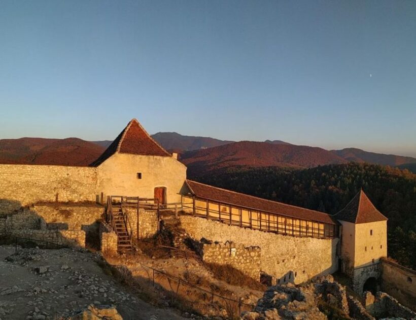 Brown Bear Sanctuary, Bran Castle & Rasnov Fortress Day Tour - Practical Details and Value