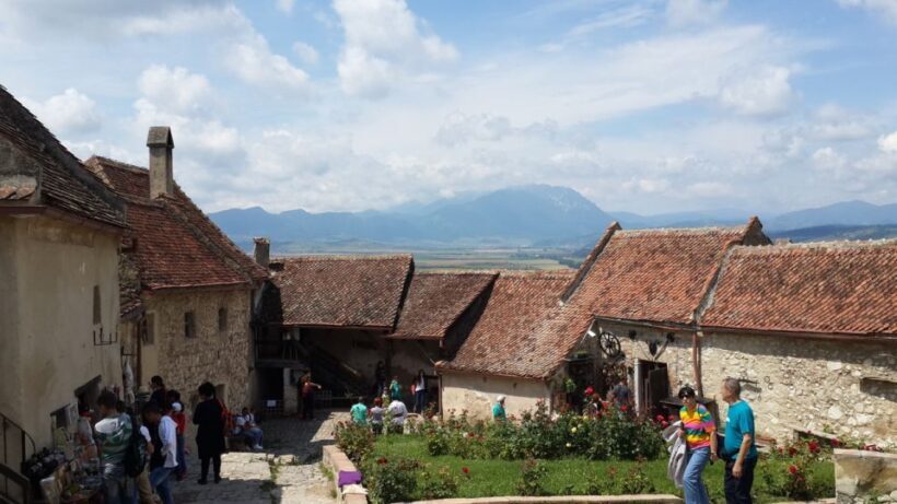 Brown Bear Sanctuary, Bran Castle & Rasnov Fortress Day Tour - Authentic Experiences and Unique Perspectives