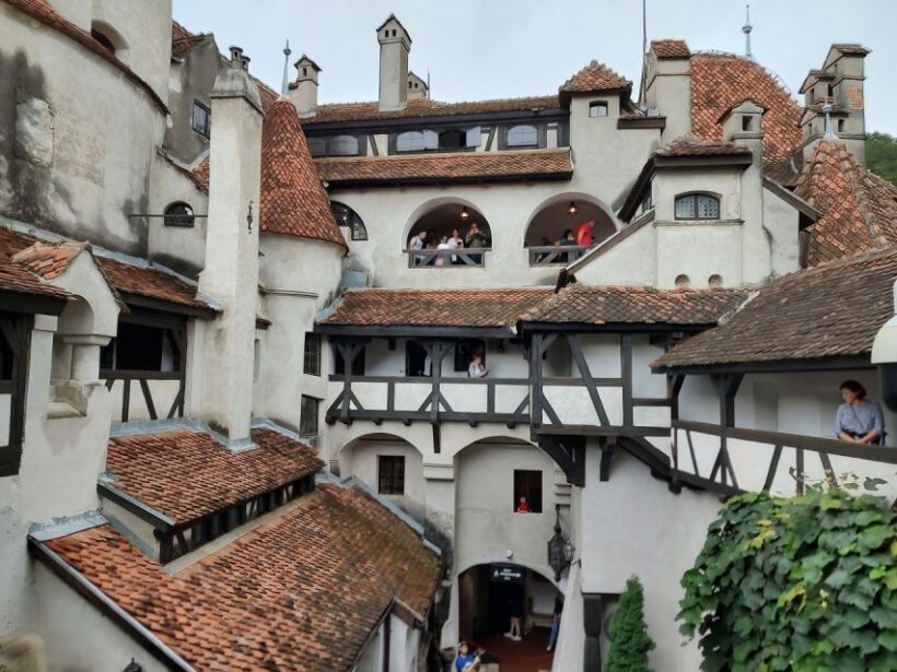 Brown Bear Sanctuary, Bran Castle & Rasnov Fortress Day Tour - Final Thoughts