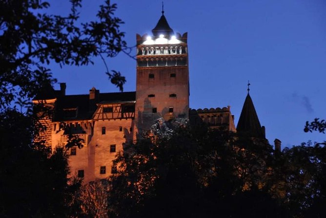 Brown Bear Sanctuary, Rasnov Fortress and Bran Castle Tour From Brasov - Inclusions and Logistics