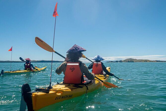 Browns Island Motukorea Sea Kayak Tour - Practical Tips for Travelers