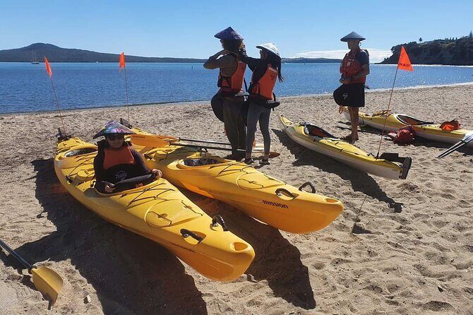 Browns Island Motukorea Sea Kayak Tour - Frequently Asked Questions