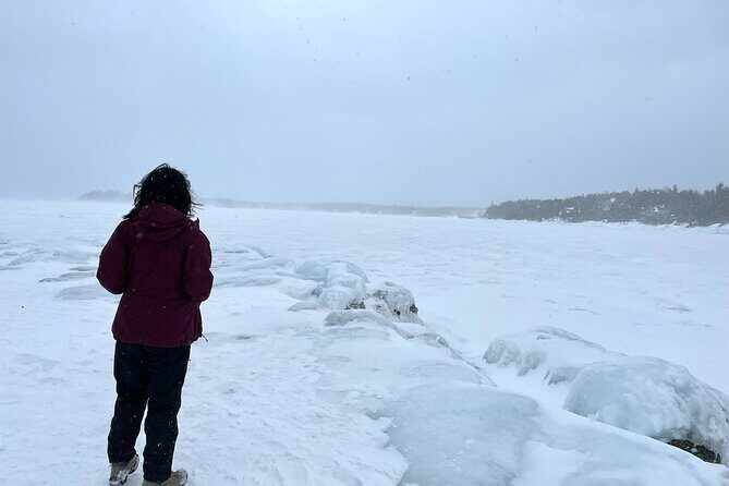 Bruce Peninsula Day Trip from Toronto - Discovering the Highlights: What’s Included and What to Expect