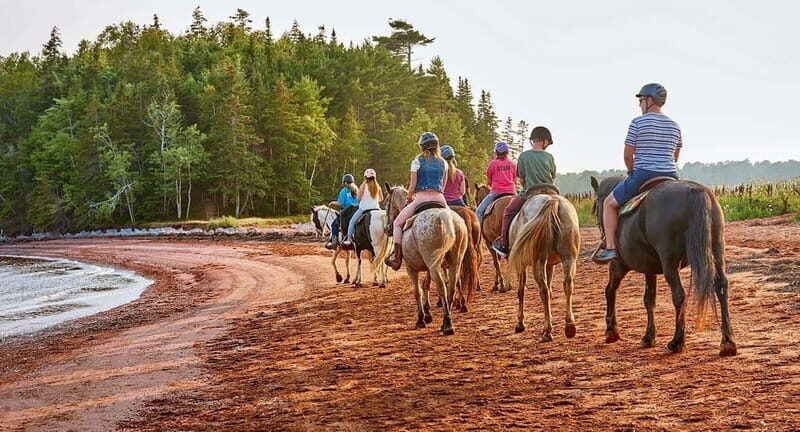 Brudenell: Family-Friendly Horse Ride goes on the Beach - Key Points