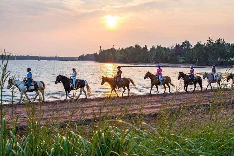 Brudenell: Family-Friendly Horse Ride goes on the Beach - The Experience: What to Expect