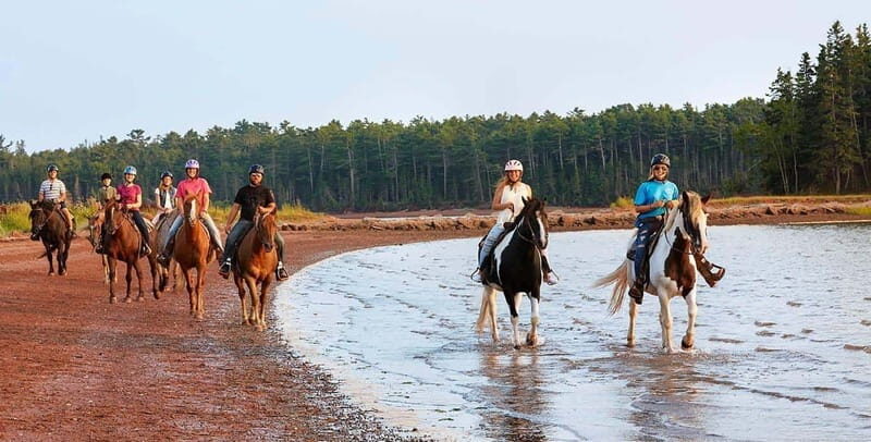 Brudenell: Family-Friendly Horse Ride goes on the Beach - Who Will Love This?