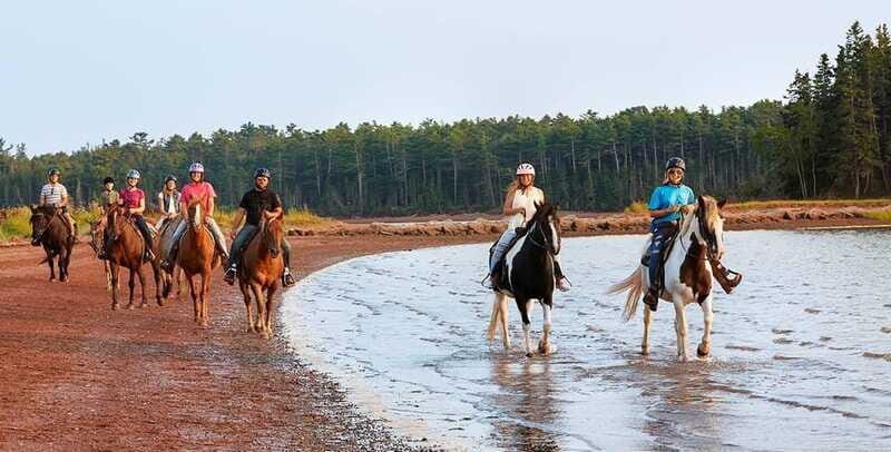 Brudenell: Family-Friendly Horse Ride goes on the Beach - Authentic Insights from Reviews