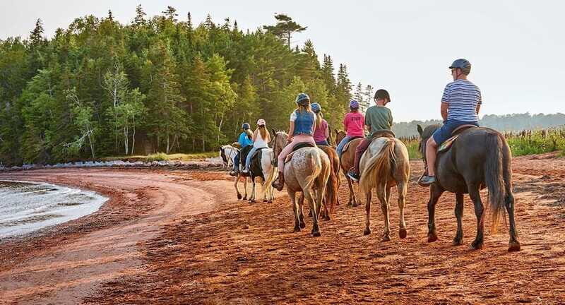 Brudenell: Family-Friendly Horse Ride goes on the Beach - FAQ