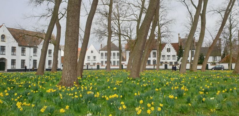 Bruges: 2.5-Hr Walking Tour from train station to Markt - A Deep Dive into the Tour Experience