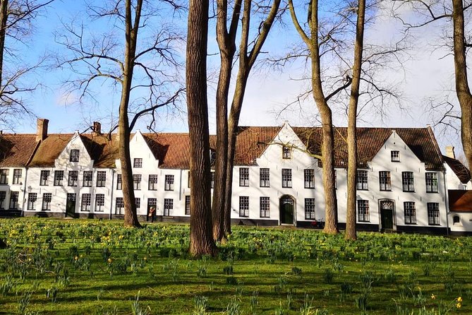 Bruges Day Trip From Brussels - Customer Feedback and Ratings