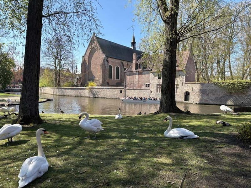 Bruges: highlights & hidden gems - private tour 2 hours - Key Points