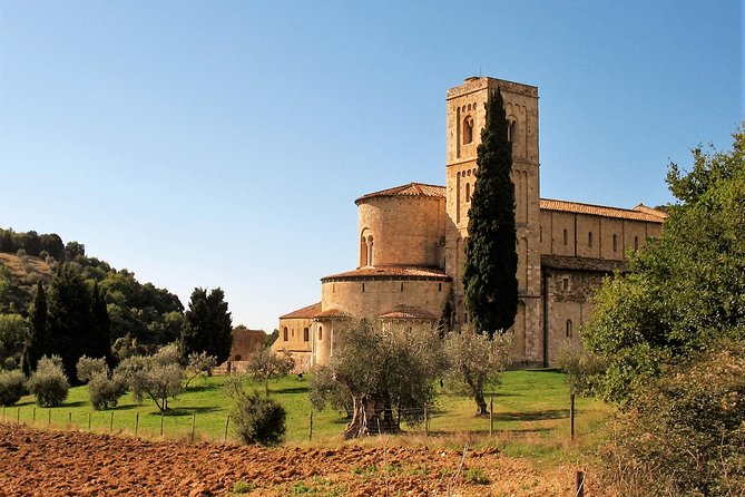 Brunello and Nobile, Wine Lover Tour Montalcino and Montepulciano - Brunello Wine Tasting