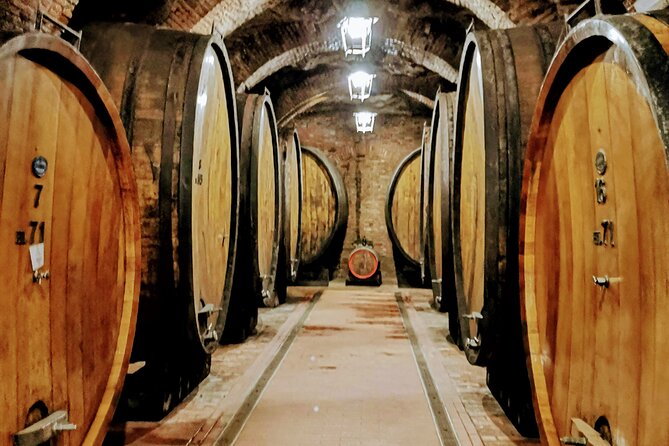 Brunello and Nobile, Wine Lover Tour Montalcino and Montepulciano - Personalized Experience