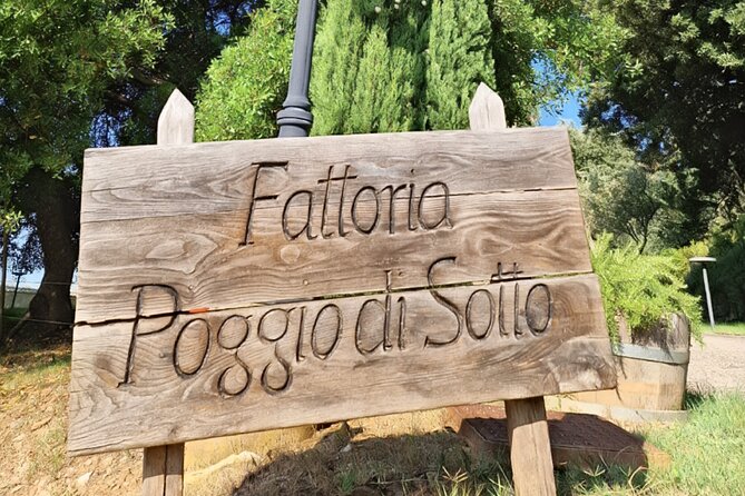 Brunello di Montalcino 2 Top Wineries full day Limousine Service - The Experience from a Traveler’s Perspective