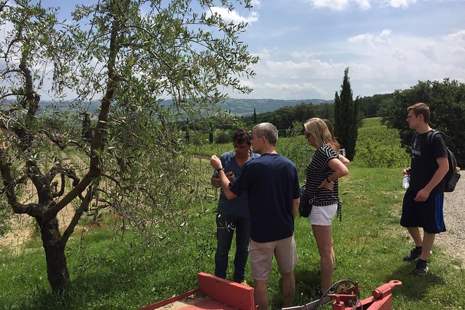 Brunello Di Montalcino, Small Biodynamic Wineries - Wine Tasting at Boutique Wineries
