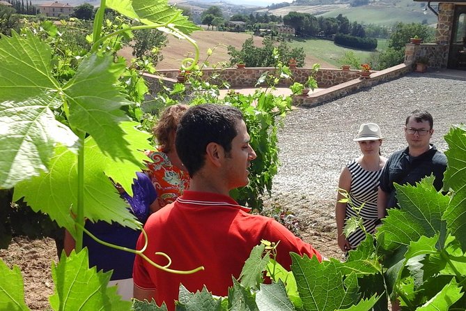 Brunello Vineyards Bus Tour - Frequently Asked Questions