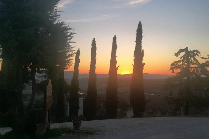 Brunello Wine Tour and Val D'Orcia Landscape - Visiting a Family-Owned Winery