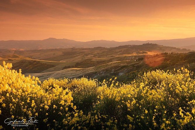 Brunello Wine Tour and Val D'Orcia Landscape - Frequently Asked Questions
