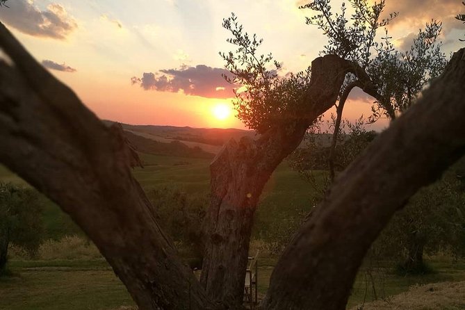 Brunello Wine Tour and Val D'Orcia Review - Included Services