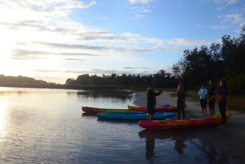 Brunswick Heads: Brunswick River Sunset Kayak Tour - Is It Worth the Price?