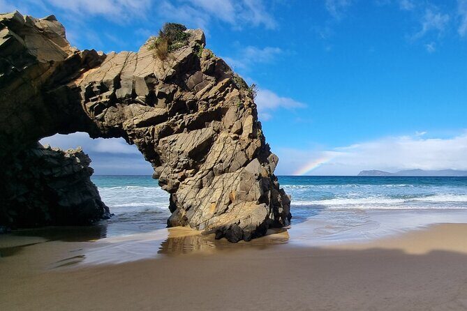 Bruny Island Adventure - Active Day Tour - Who Will Love This Tour?