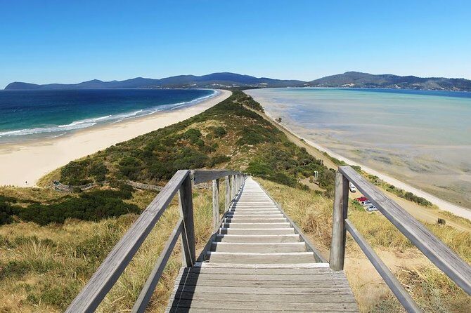 Bruny Island Day Tour Private Charter Service - Introduction