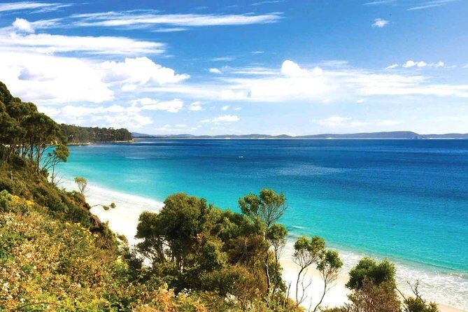 Bruny Island Day Tour Private Charter Service - Key Points