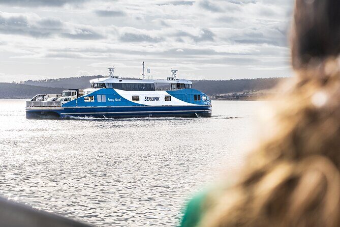 Bruny Island Food, Sightseeing, Guided Lighthouse Tour & Lunch - Who Should Consider This Tour?