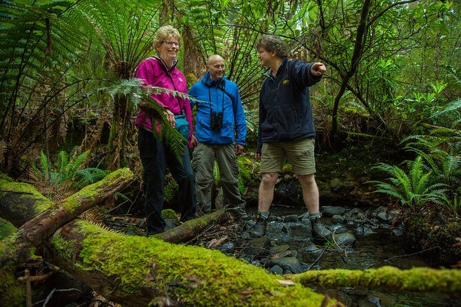 Bruny Island Traveller - Gourmet Tasting and Sightseeing Day Trip from Hobart - Analyzing the Value