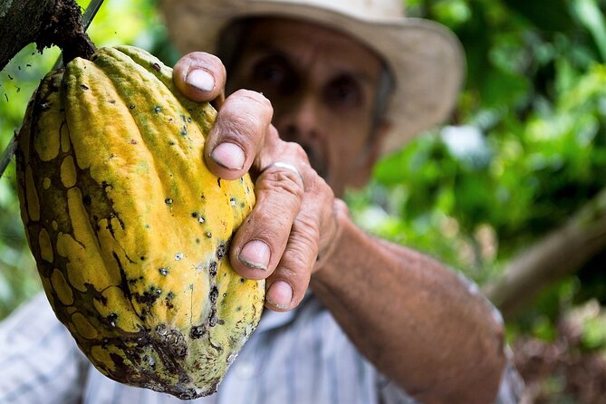 Brussels Chocolate Walking Tour and Workshop - Who Will Love This Tour?