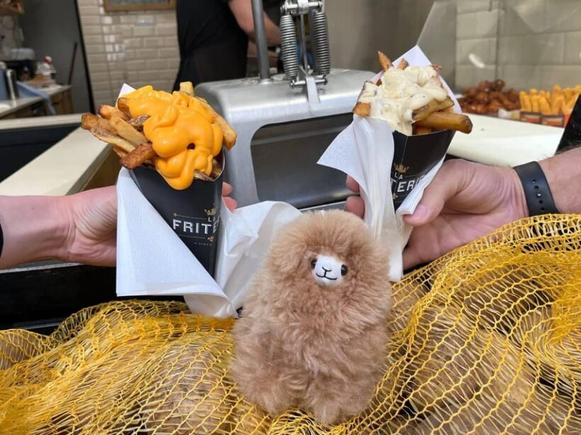 Brussels Day Trip from Paris or Amsterdam by Mini-Van - An In-Depth Look at the Tour Experience