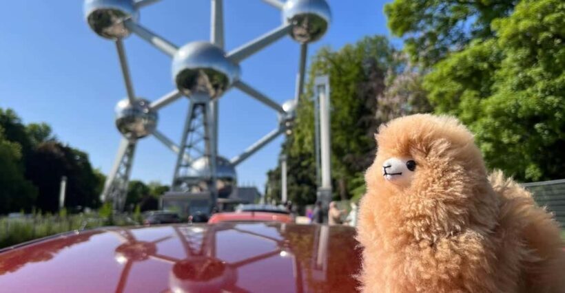 Brussels Day Trip from Paris or Amsterdam by Mini-Van - Analyzing the Value