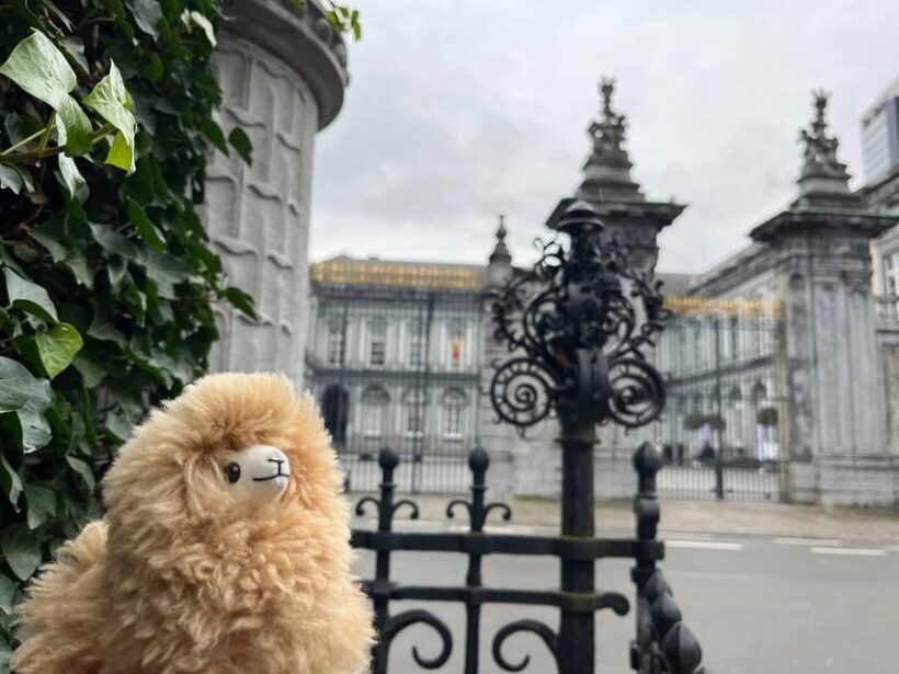 Brussels Day Trip from Paris or Amsterdam by Mini-Van - Final Thoughts