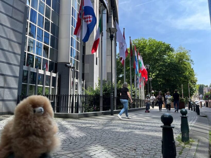 Brussels Day Trip from Paris or Amsterdam by Mini-Van - FAQs