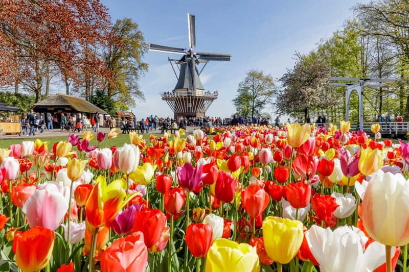 Brussels: Holland Keukenhof & Kinderdijk Guided Day Tour - The Sum Up