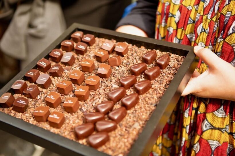 Brussels: Hungry Mary's Famous Beer and Chocolate Tour - What to Expect from the Tour