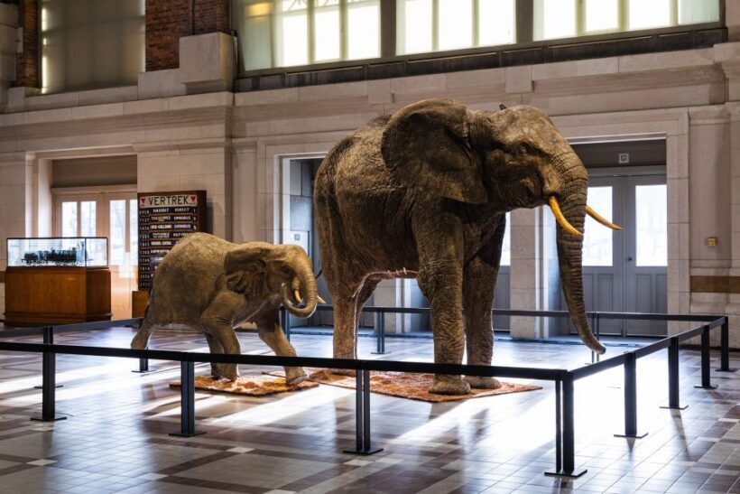 Brussels: Train World Museum Entrance Ticket - FAQ
