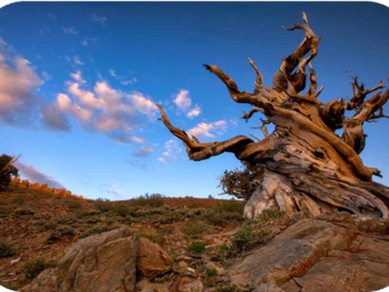Bryce Canyon: 2-Hour, 4-Seat or 5-Seat ATV Rental - The Itinerary: What You Can Expect