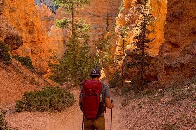 Bryce Canyon and Zion National Park Tour - Authentic Experiences and Traveler Insights
