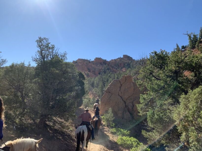 Bryce Canyon City: Horseback Riding Tour in Red Canyon - An Overview of the Horseback Riding Experience in Red Canyon
