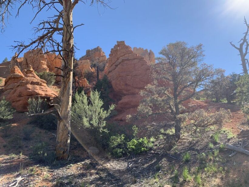 Bryce Canyon City: Horseback Riding Tour in Red Canyon - The Experience and Its Highlights