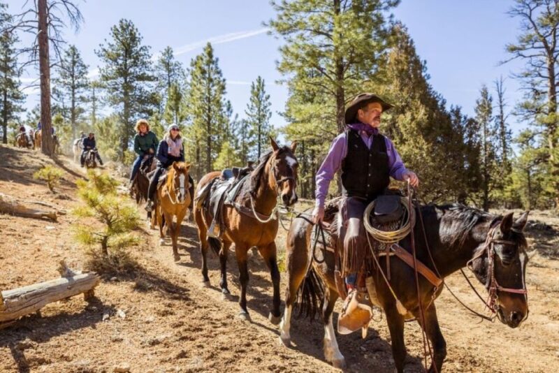Bryce Canyon City: Horseback Riding Tour in Red Canyon - FAQs