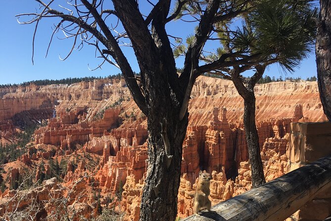Bryce Canyon E-bike Tour - Learning About the Parks History and Geology